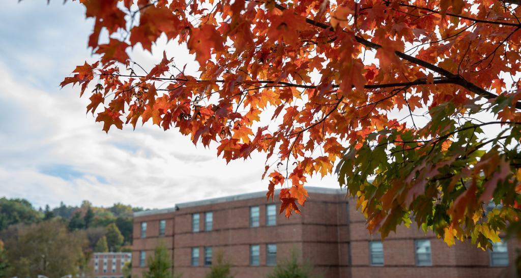 Living on Campus | York College of Pennsylvania