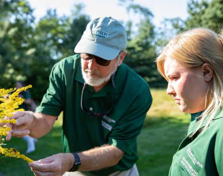 What Is a Horticulturist?