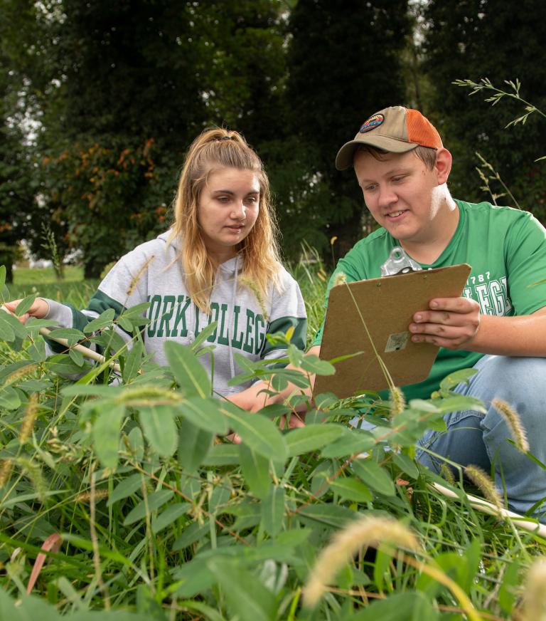 Environmental Science | York College of Pennsylvania