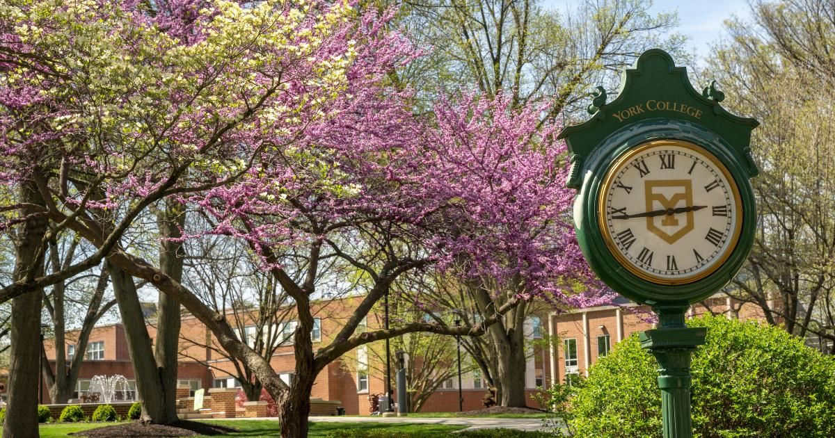 Summer Academy | York College of Pennsylvania