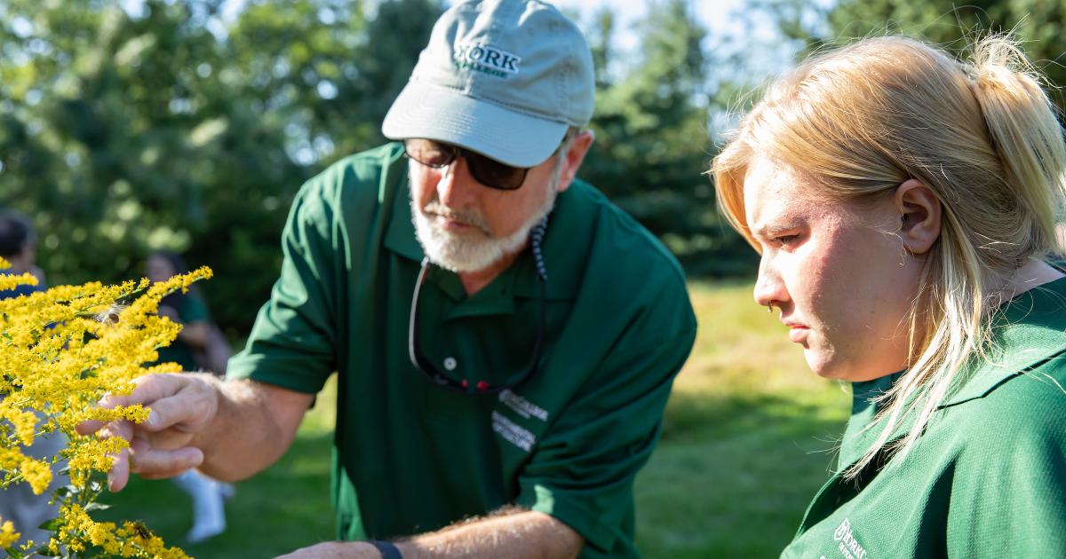 What Is a Horticulturist?