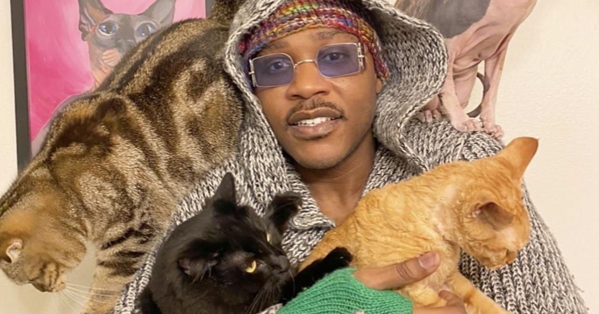 York College of Pennsylvania Alumnus, the Cat Rapper, Has Cattitude